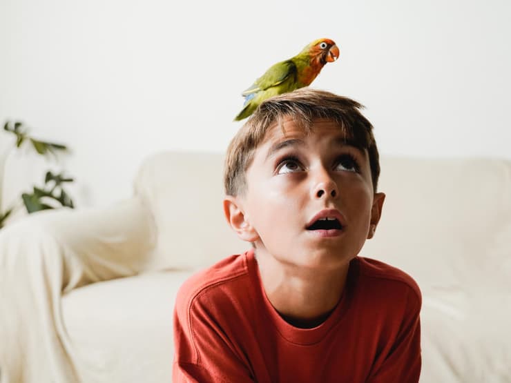 Von Vögeln inspiriert: Die 17 absolut schönsten Jungennamen aus der ...