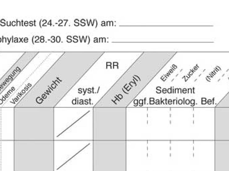 Mutterpass-Abkürzungen: Was sie bedeuten