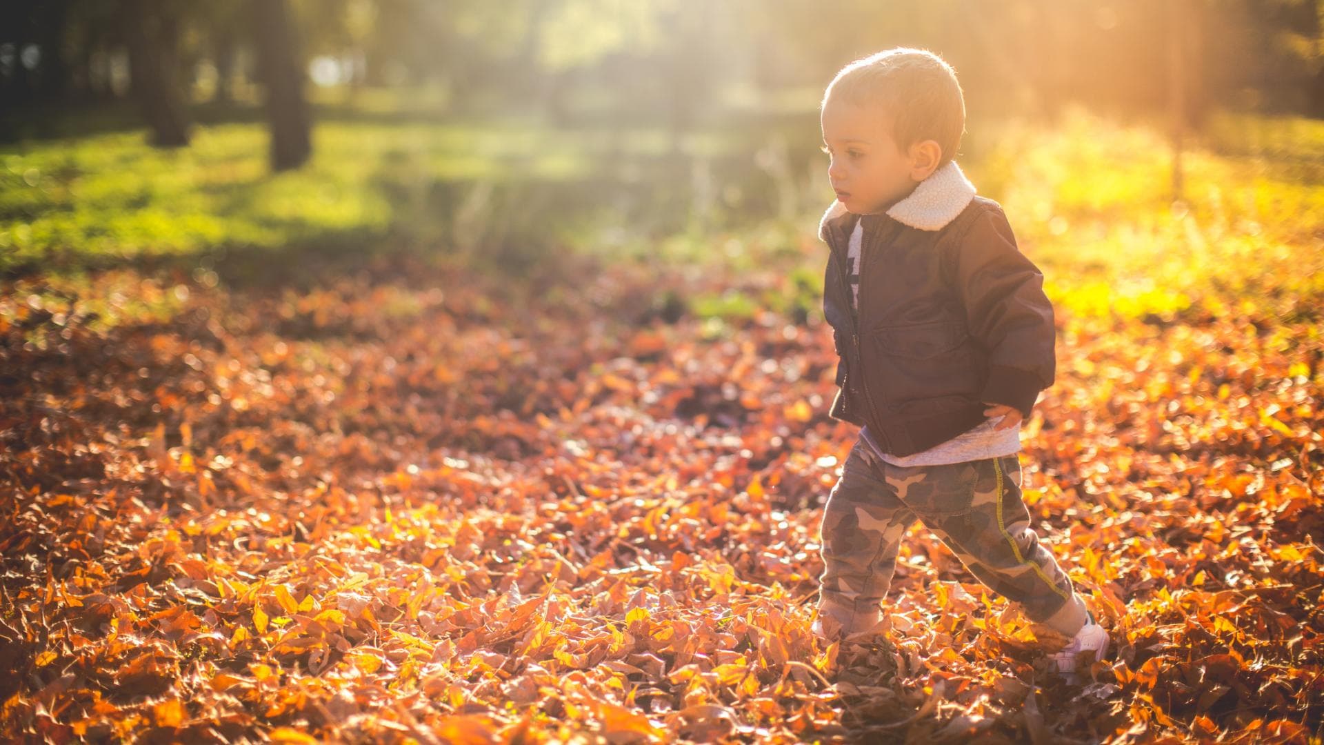 September-Baby: Interessantes über ihre Eigenschaften