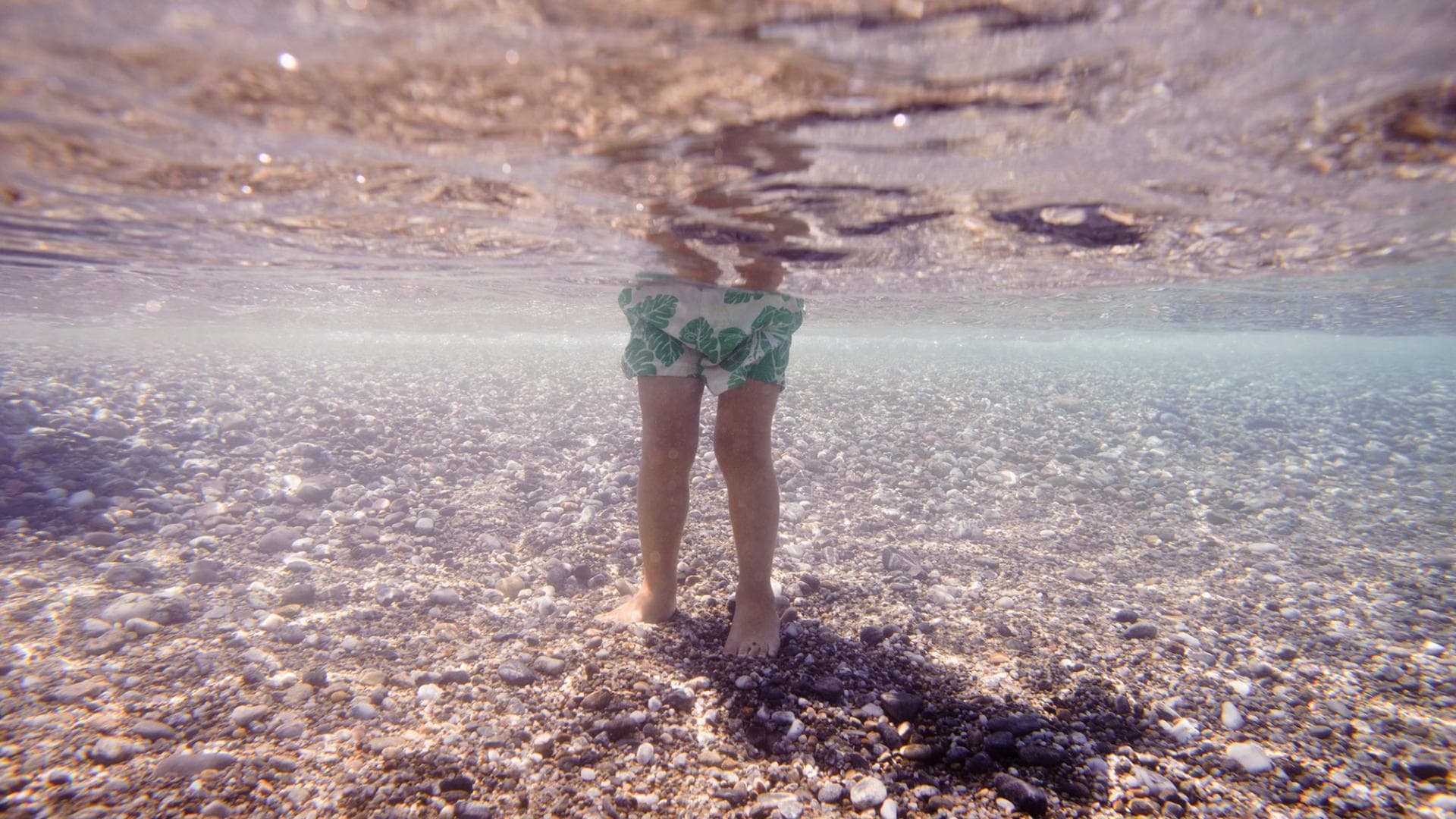 Vorsicht vor dem Petermännchen! Extrem giftiger Ostsee-Fisch